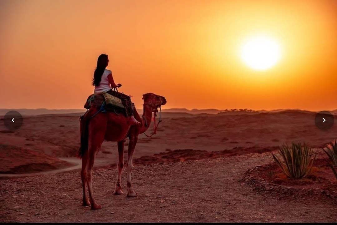 Camel Ride at sunset in Agafay - Agafay Quad